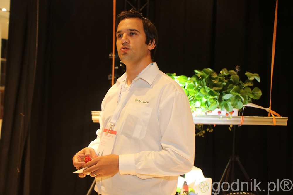 Roboty do zbioru truskawek - aktualności - Jagodnik